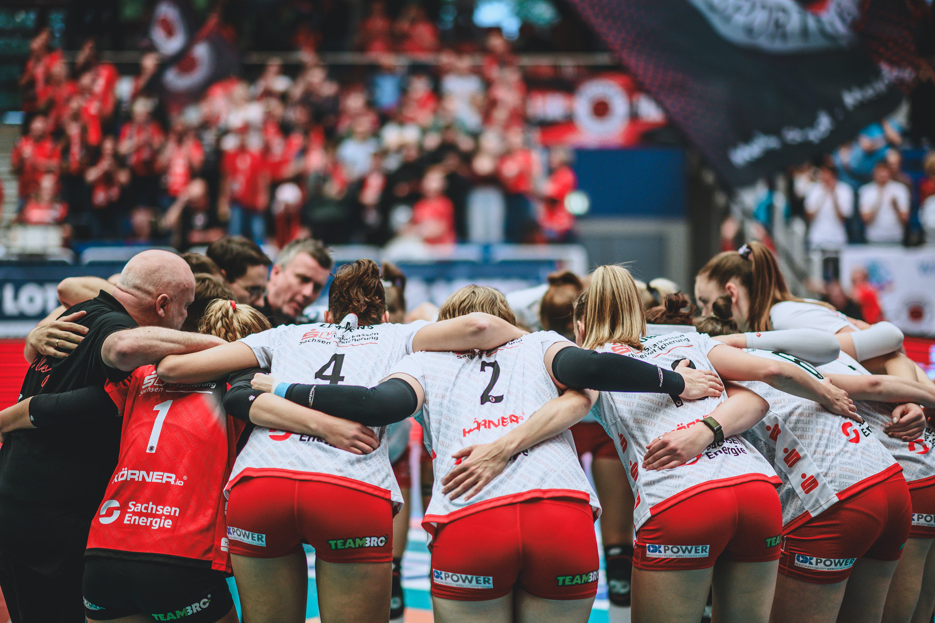 1. Bundesliga - Volleyball - Abteilungen - Dresdner Sportclub 1898 e.V.