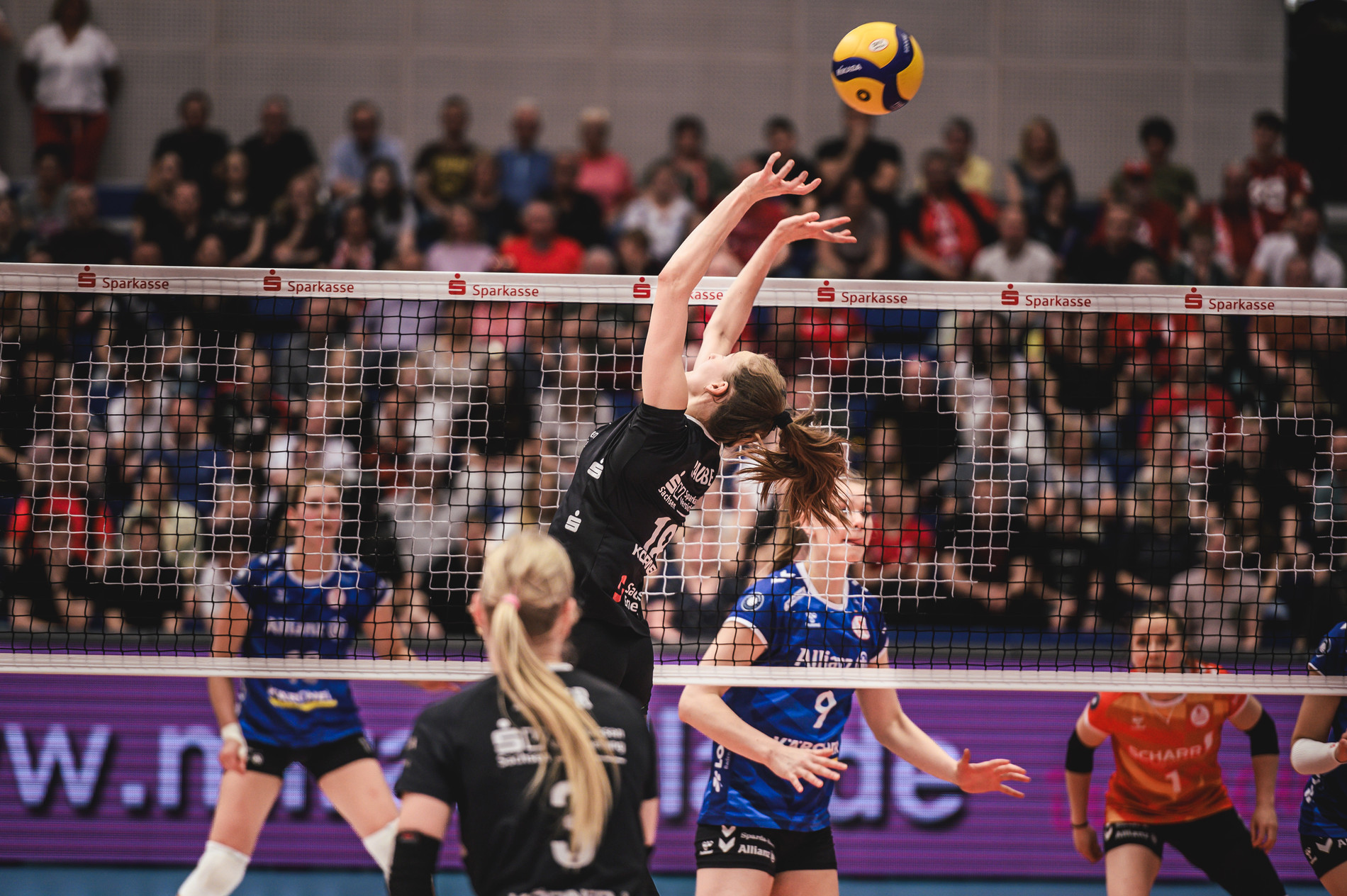 Dresdner Sportclub 1898 - Sport- und Bewegungsangebot in Dresden ...